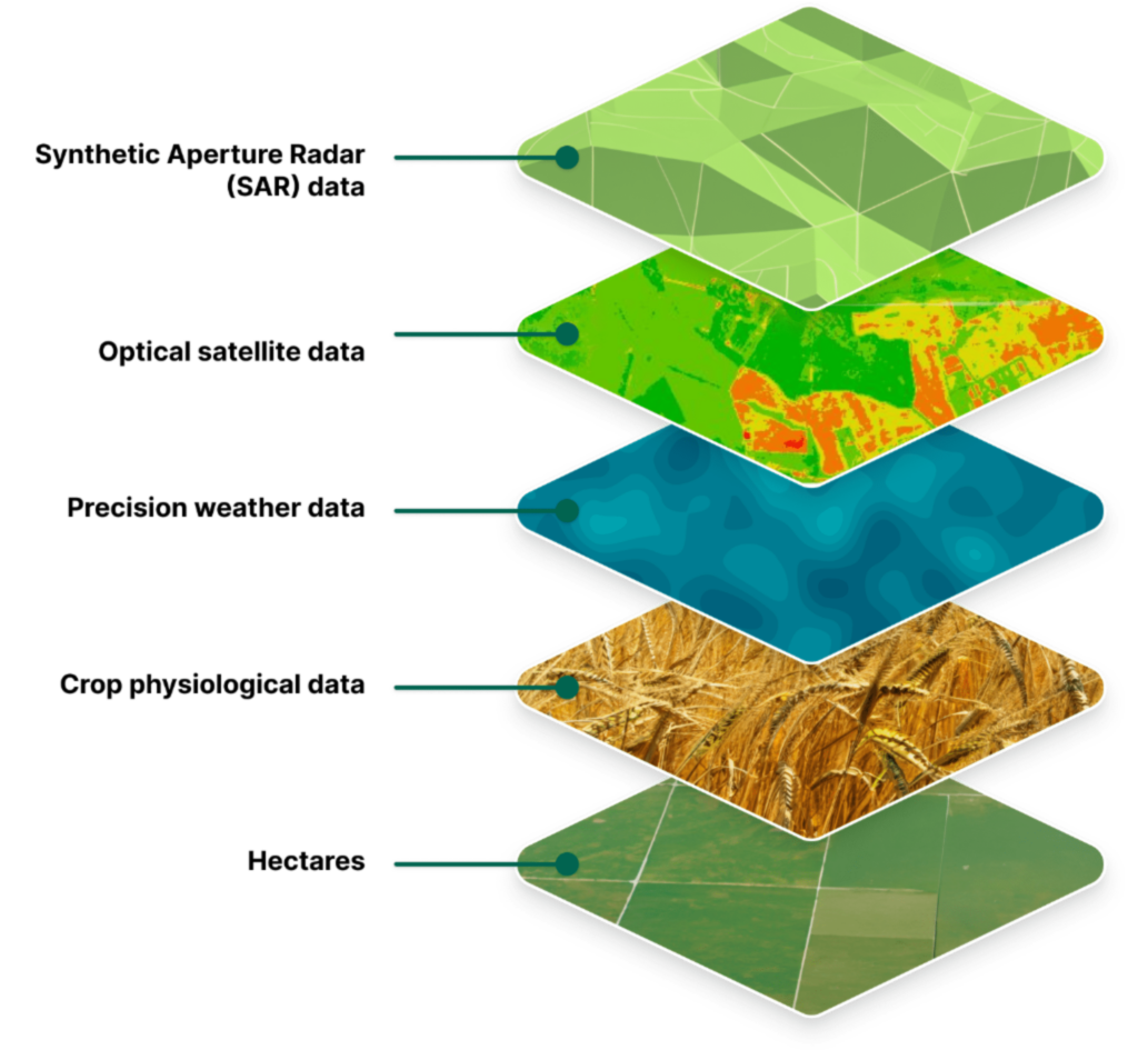 Crop Ai Modelling Origin Digital